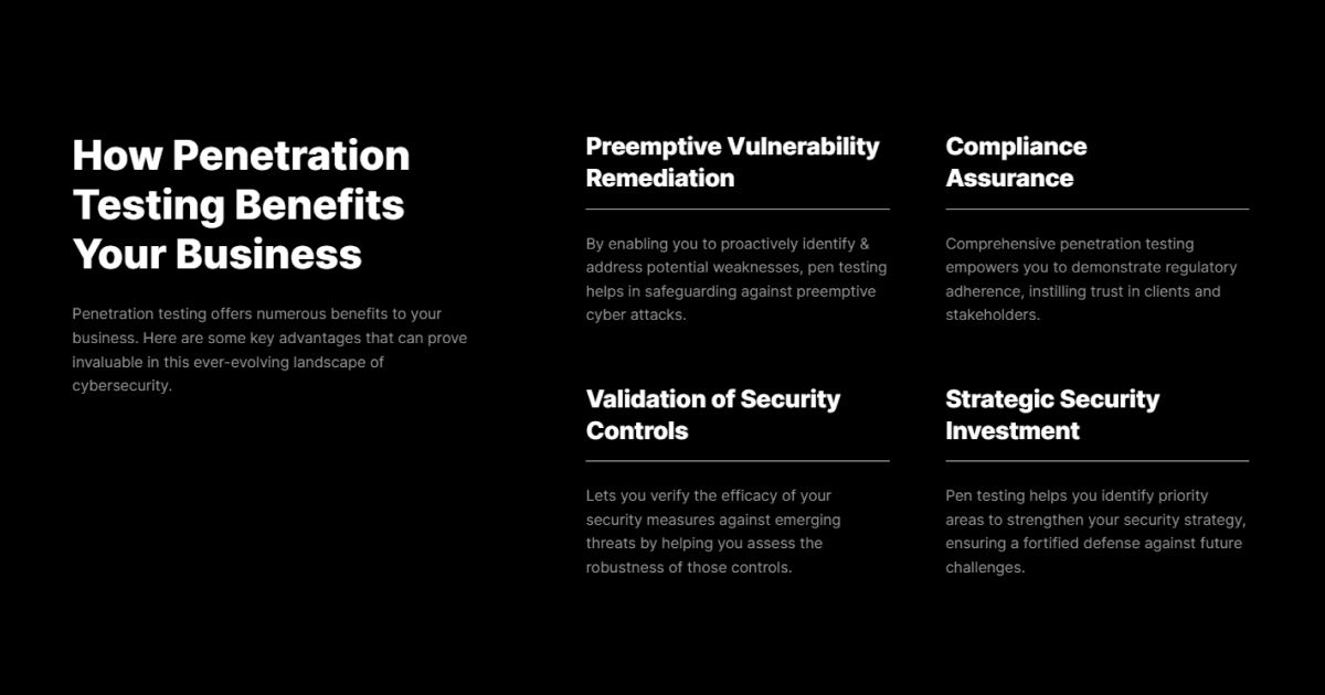 Penetration Testing Services | WebClues Infotech